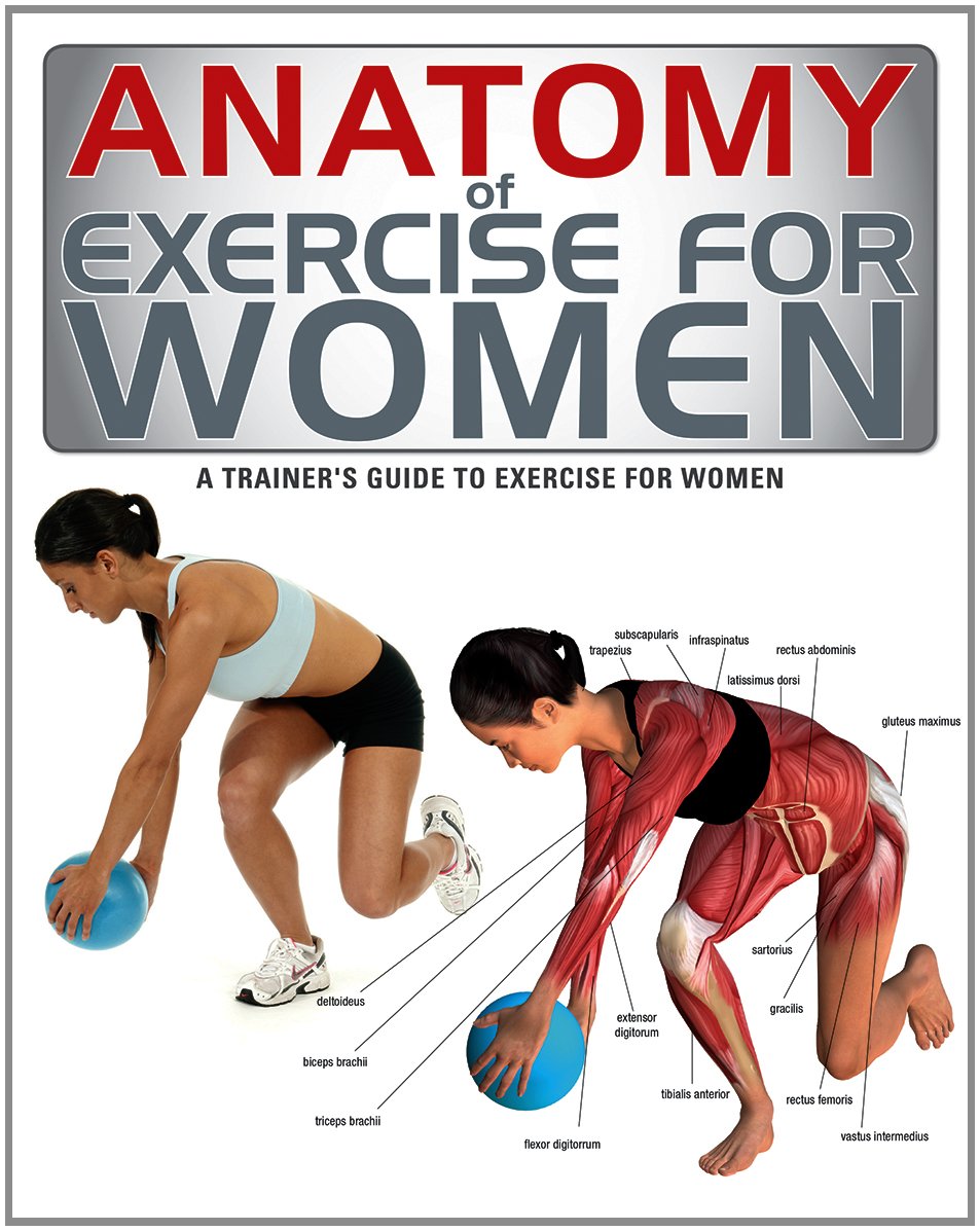 Anatomy Of Exercise For Women