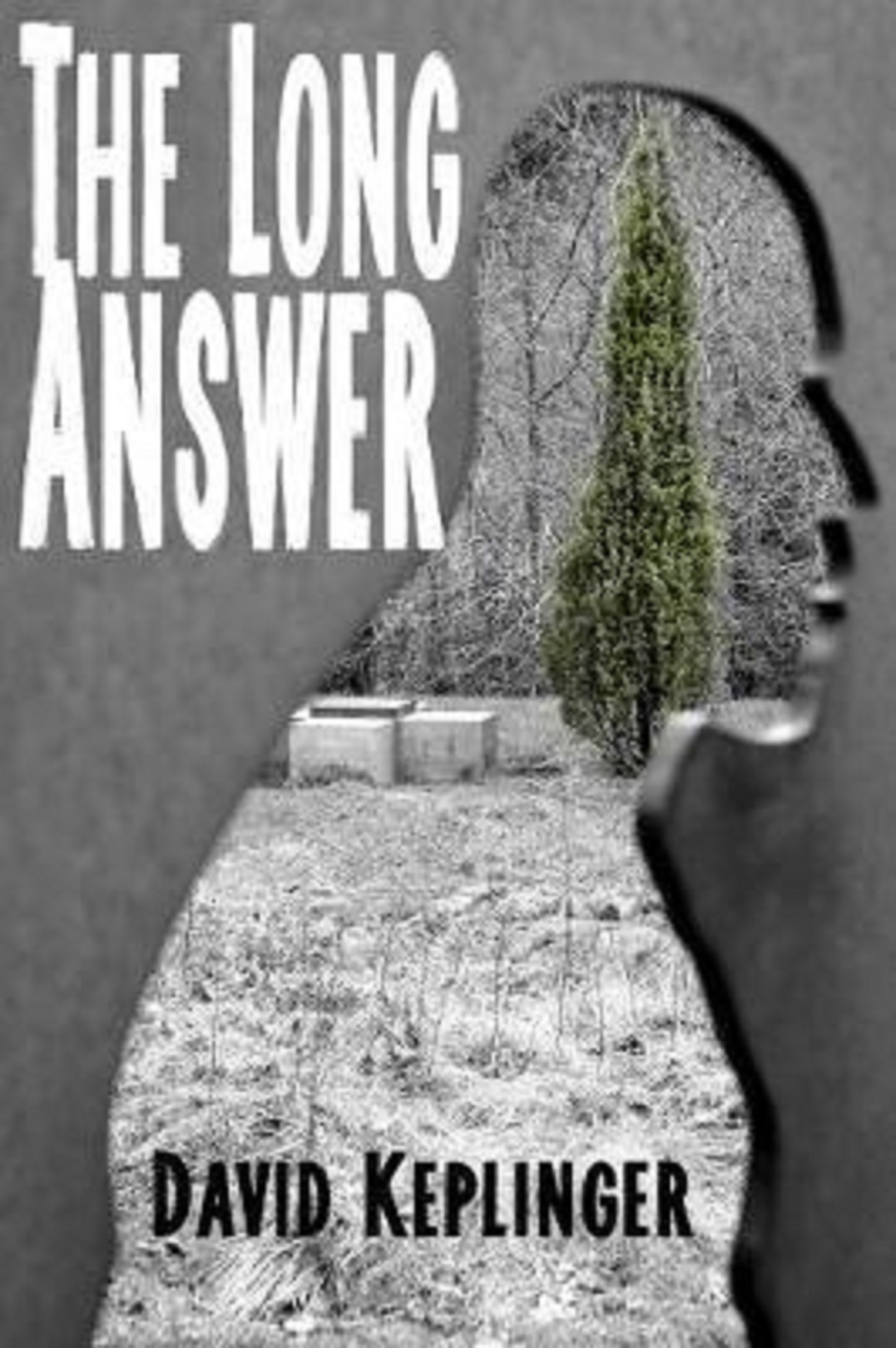 The Long Answer - David Keplinger
