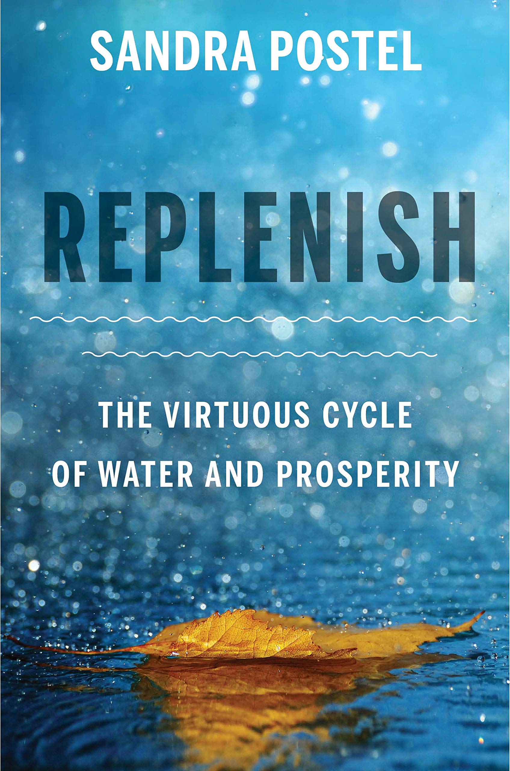 Replenish - Sandra Postel