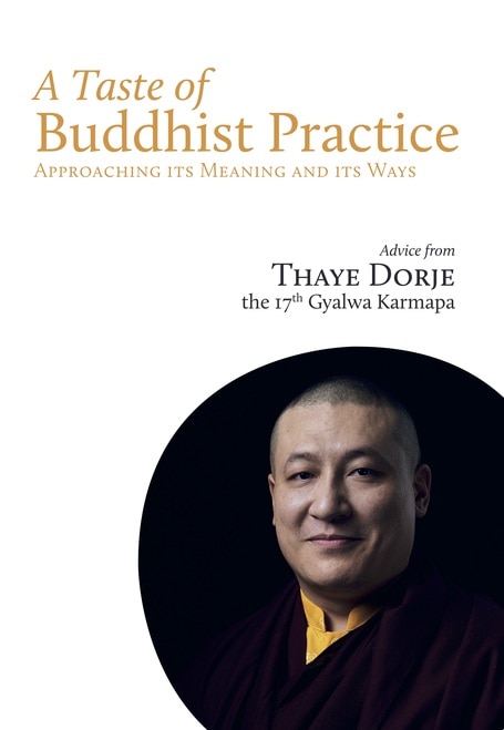 Taste of Buddhist Practice - His Holiness the 17th Karmapa Thaye Dorje