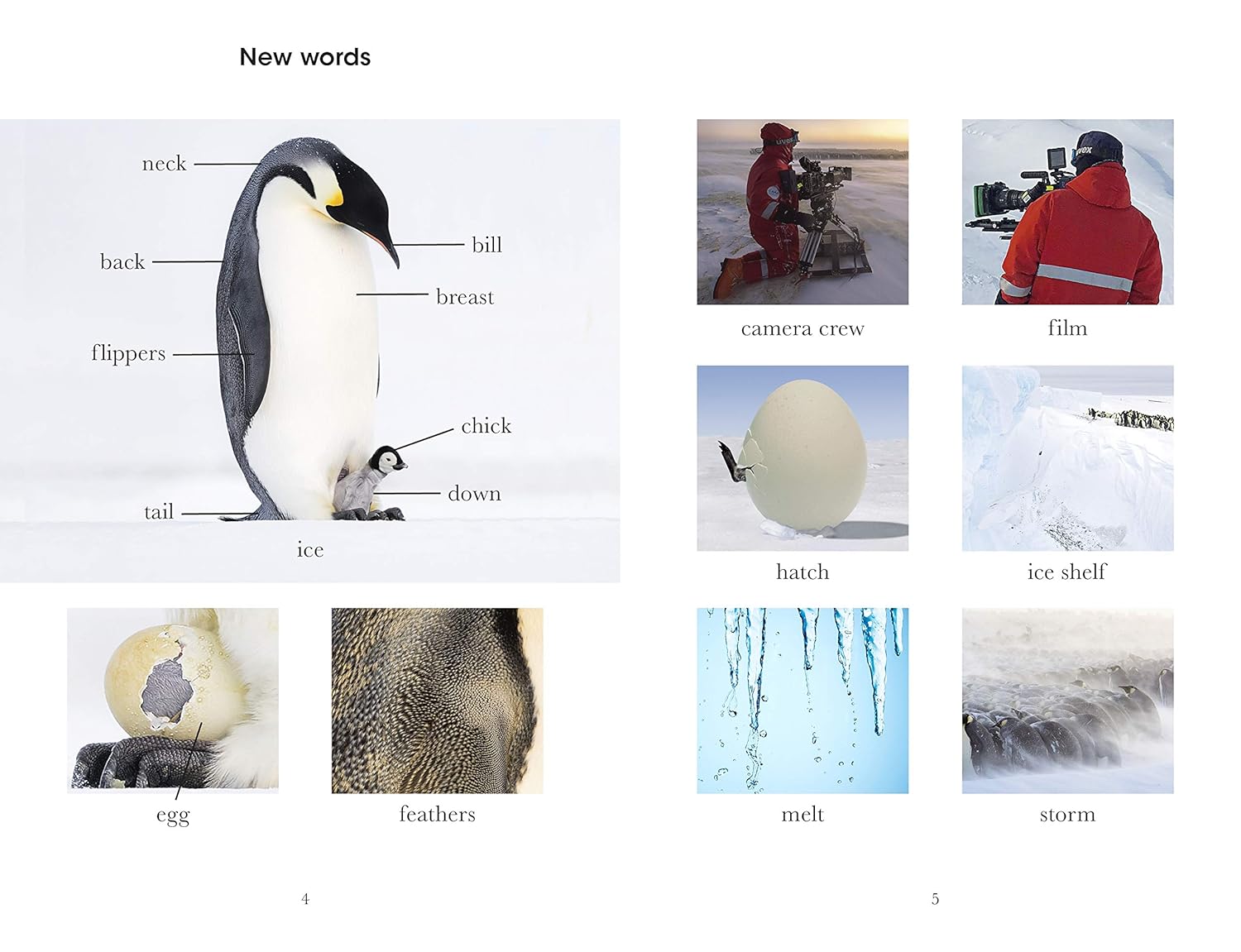 Dynasties: Penguins - Penguin Readers Level 2 - Stephen Moss