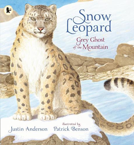 Snow Leopard: Grey Ghost of the Mountain - Justin Anderson