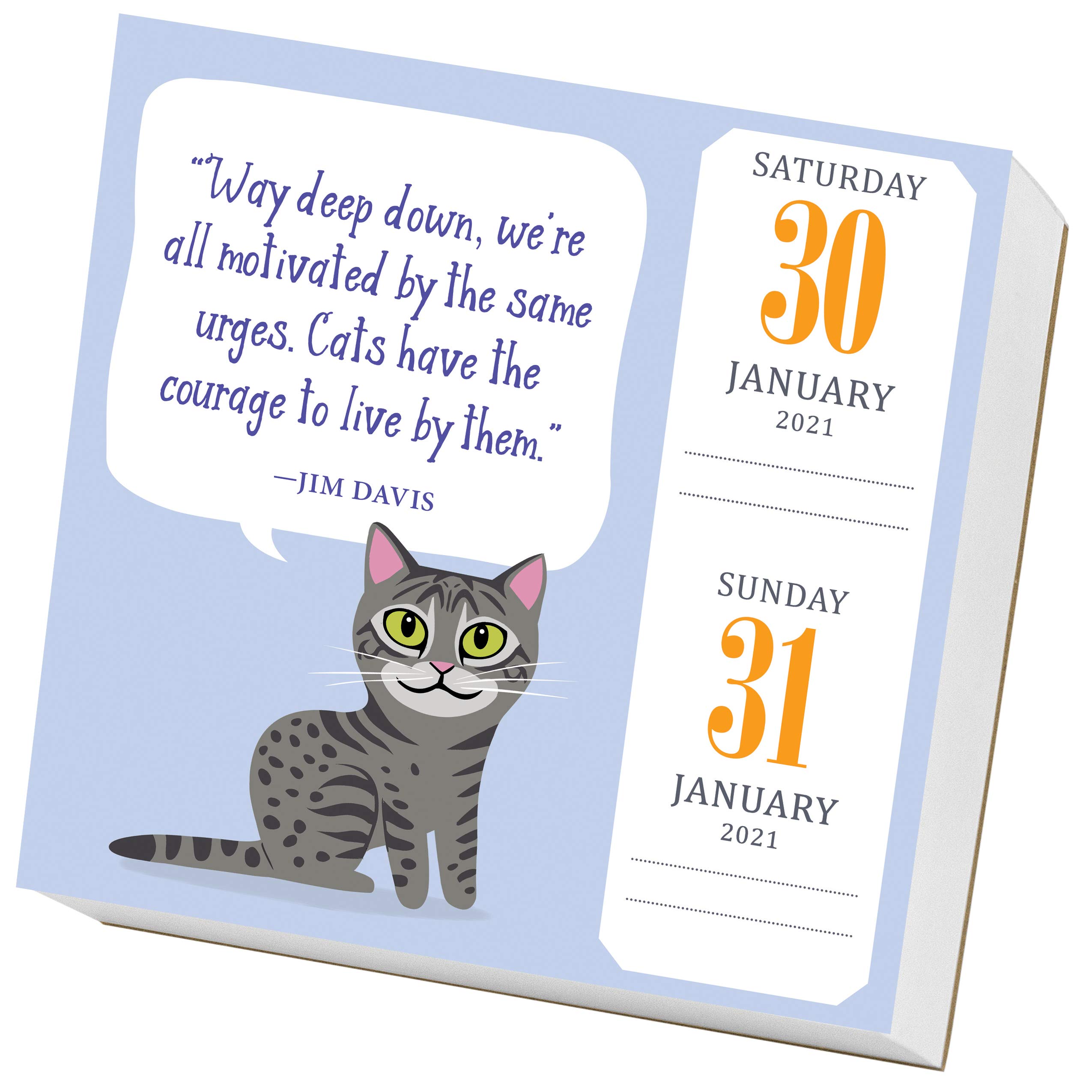 Calendar 2021 - Year of Cat Trivia Colour Page-A-Day - Workman Publishing