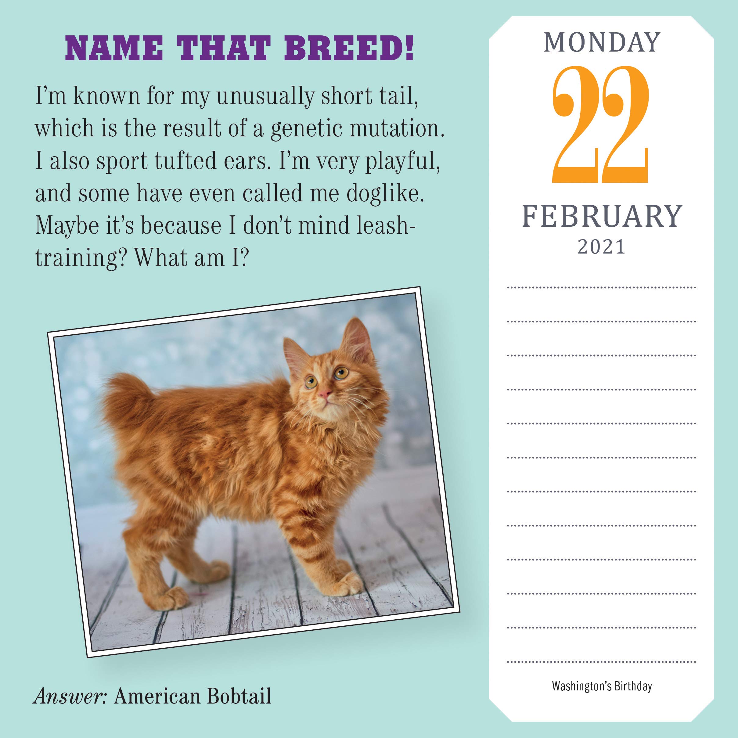 Calendar 2021 - Year of Cat Trivia Colour Page-A-Day - Workman Publishing