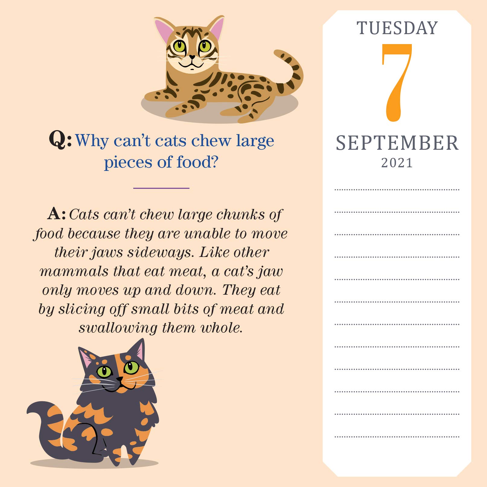 Calendar 2021 - Year of Cat Trivia Colour Page-A-Day - Workman Publishing