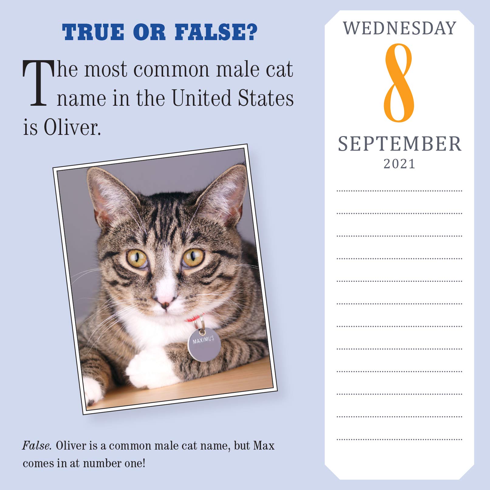 Calendar 2021 - Year of Cat Trivia Colour Page-A-Day - Workman Publishing