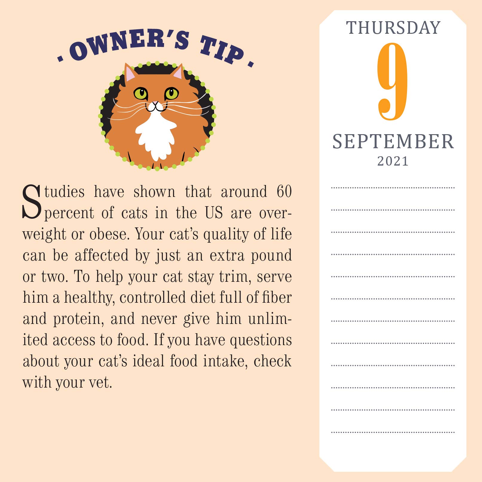 Calendar 2021 - Year of Cat Trivia Colour Page-A-Day - Workman Publishing