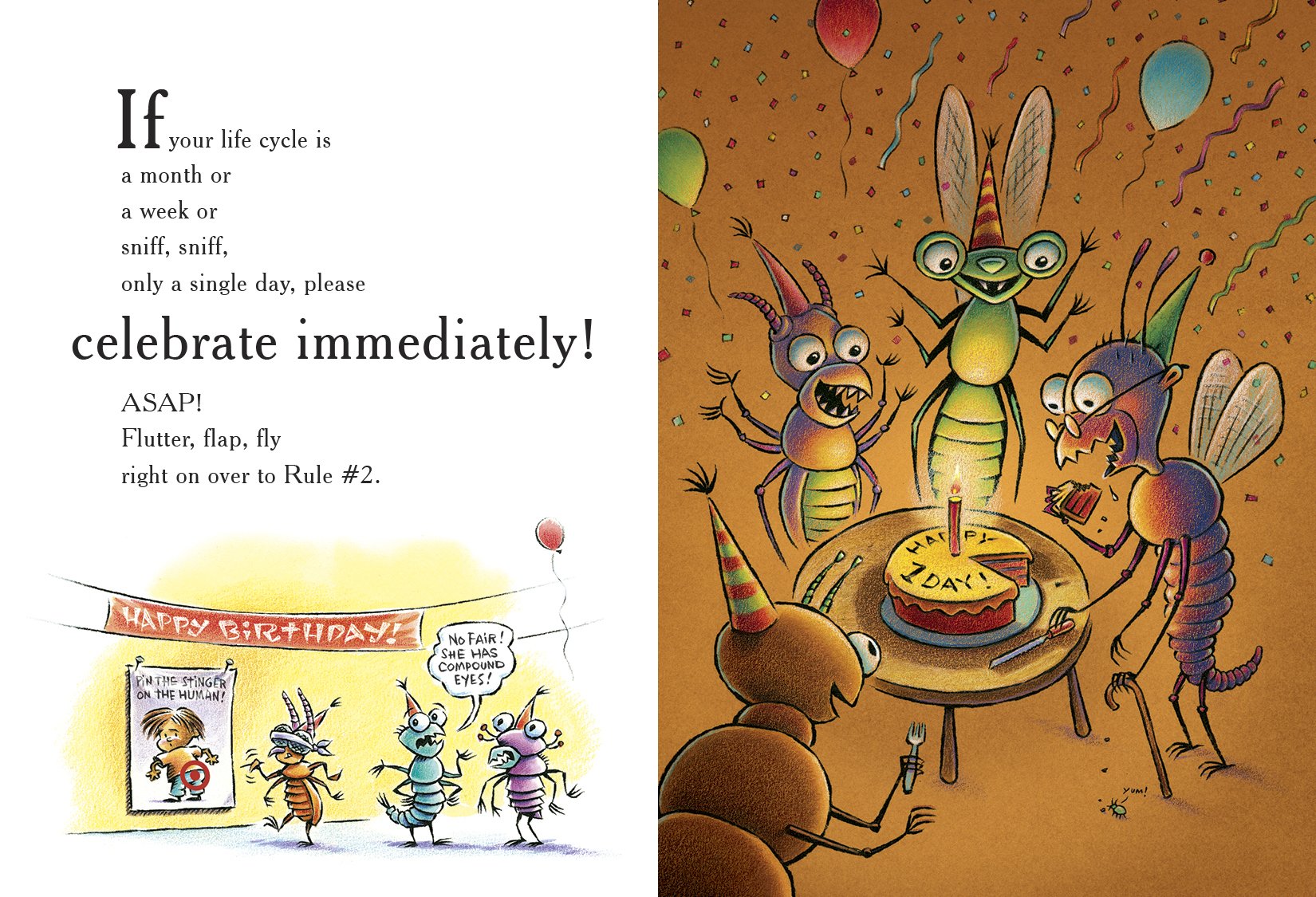 Ten Rules of the Birthday Wish - Beth Ferry