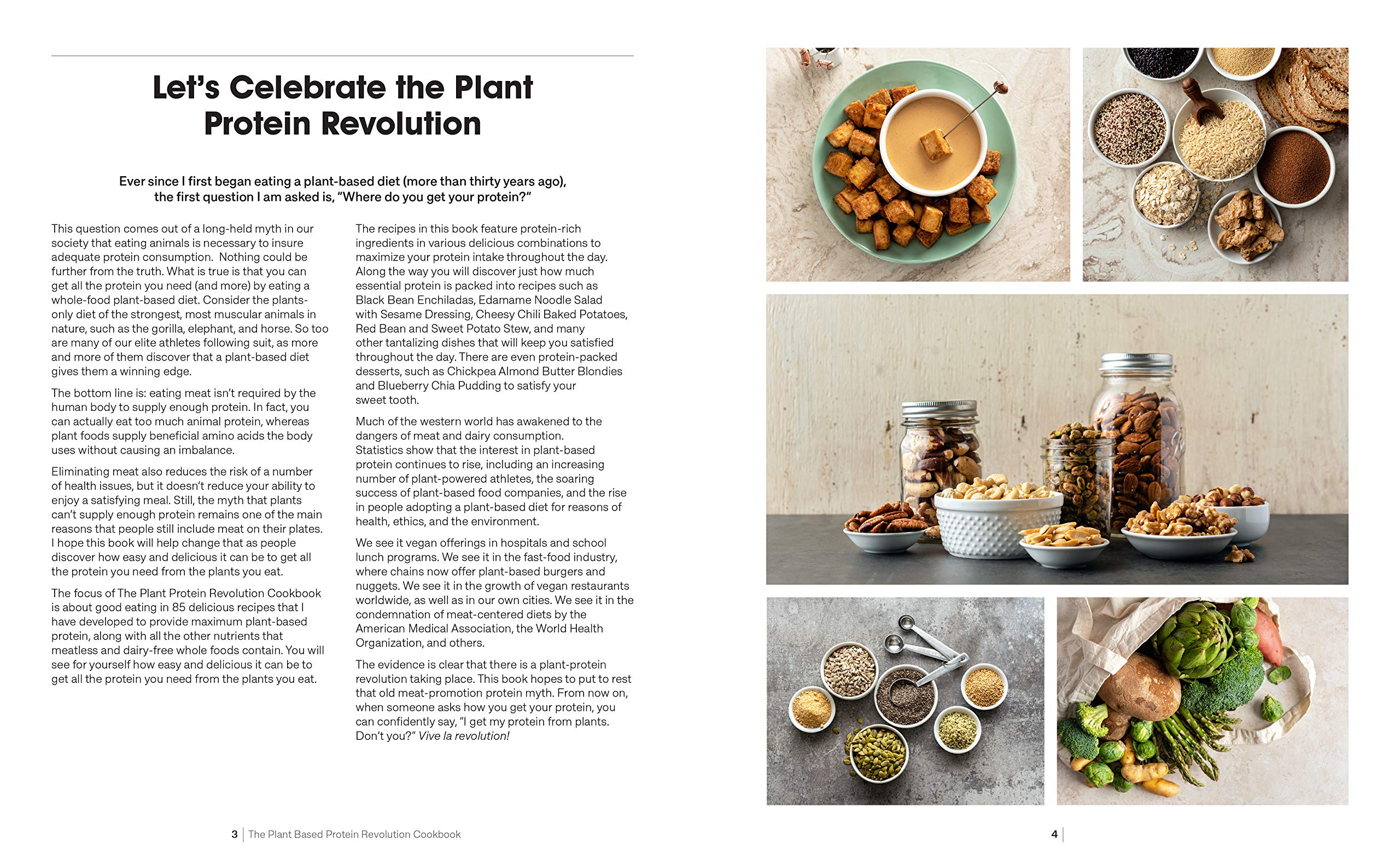 The Plant Protein Revolution Cookbook - Robin Robertson
