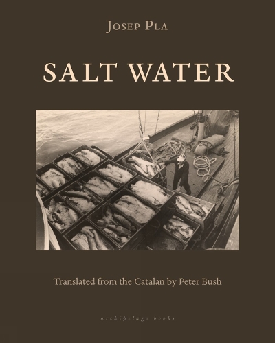 Salt Water - Josep Pla, Peter Bush