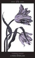 A Mere Interlude - Thomas Hardy