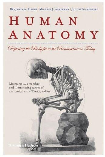 Human Anatomy: Depicting the Body from the Renaissance to Today ...