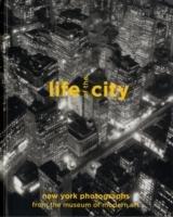 Life Of The City - Sarah Hermanson Meister