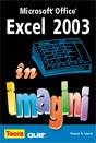 EXCEL 2003 in imagini